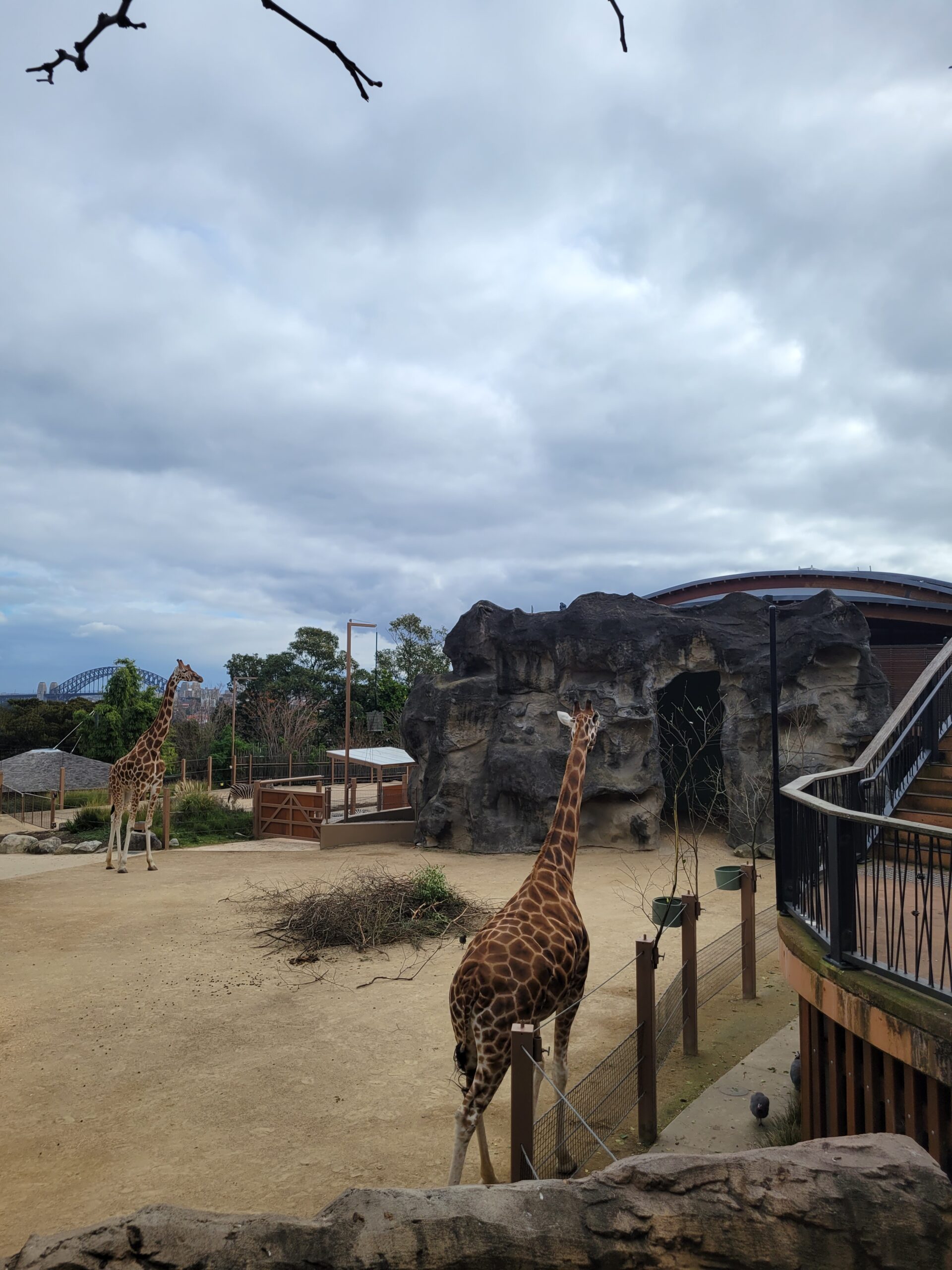 Visit Taronga Zoo in Sydney Australia with Me