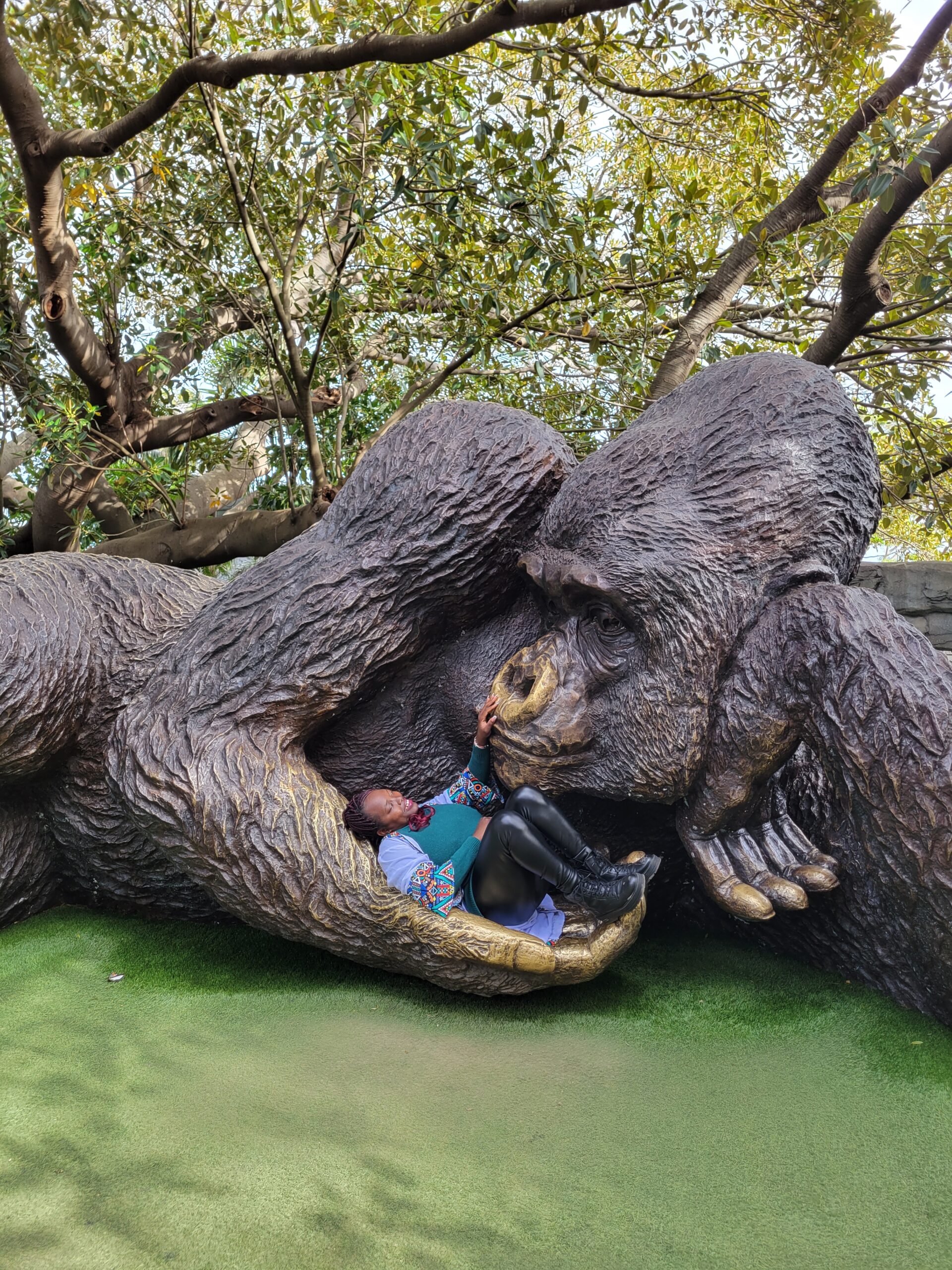 Visit Taronga Zoo in Sydney Australia with Me